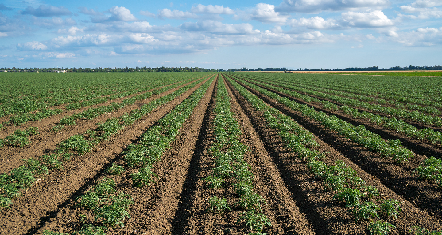 About Us - Yolo County Flood Control & Water Conservation District